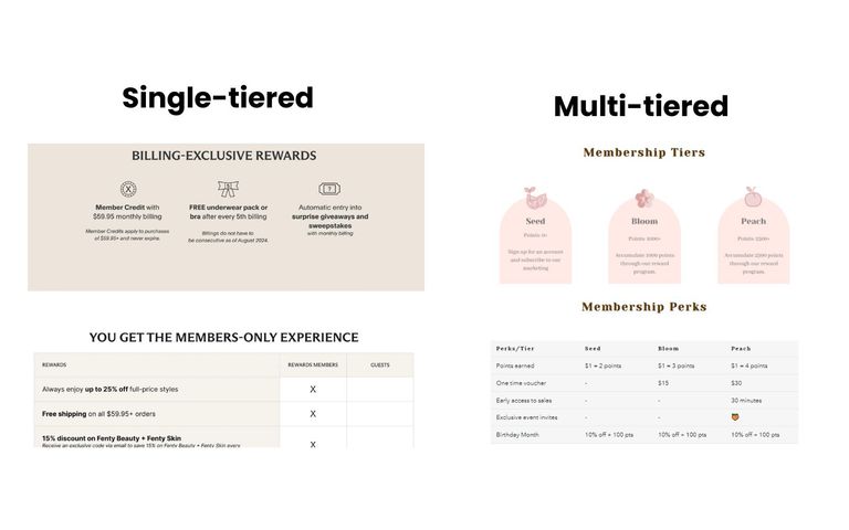 VIP Loyalty Programs: The Ultimate Guide to Reward Your Best Customers ...