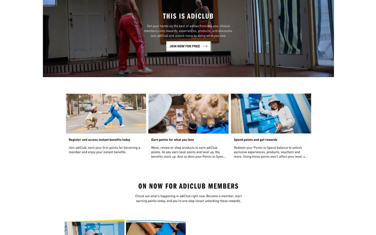 VIP Loyalty Programs: The Ultimate Guide to Reward Your Best Customers ...