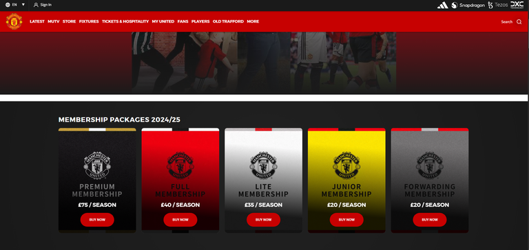 Top 8 Sports Loyalty Programs That Score Big with Fans